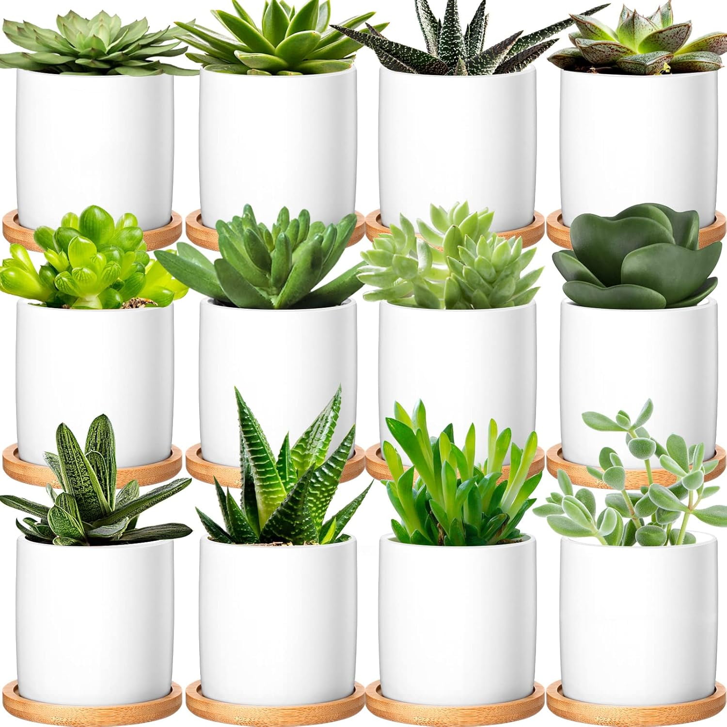 Cindeer 12 Pack Small Succulent Pots 3 Inch Ceramic Planter Pot and ...