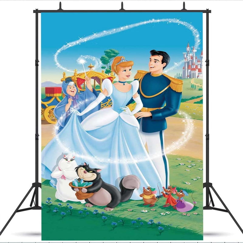 Cinderella Princess Party Supplies Background Backdrop Taspestry Banner ...