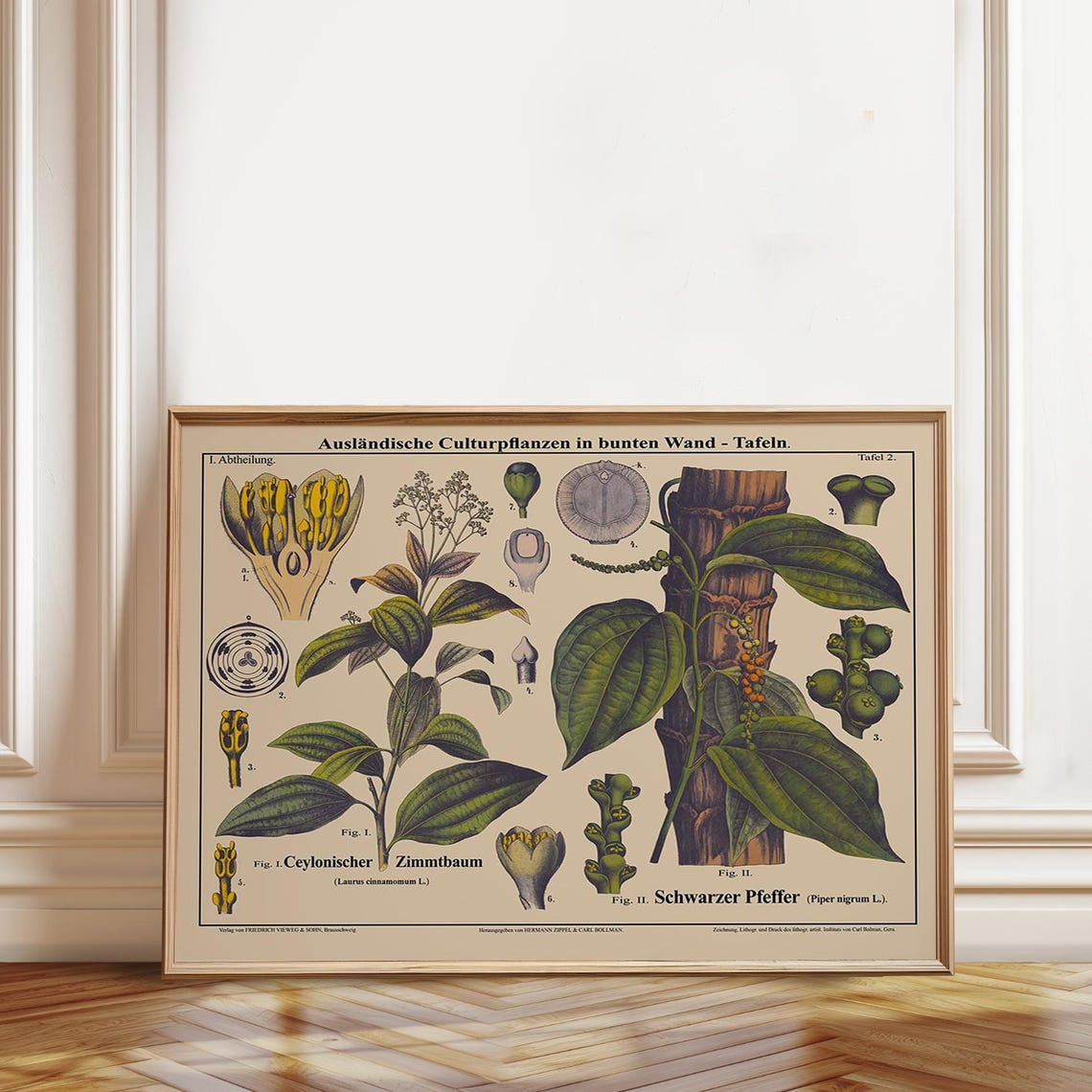 Cinnamon and Black Pepper Botanical Plant Illustration, Unframed Paper ...