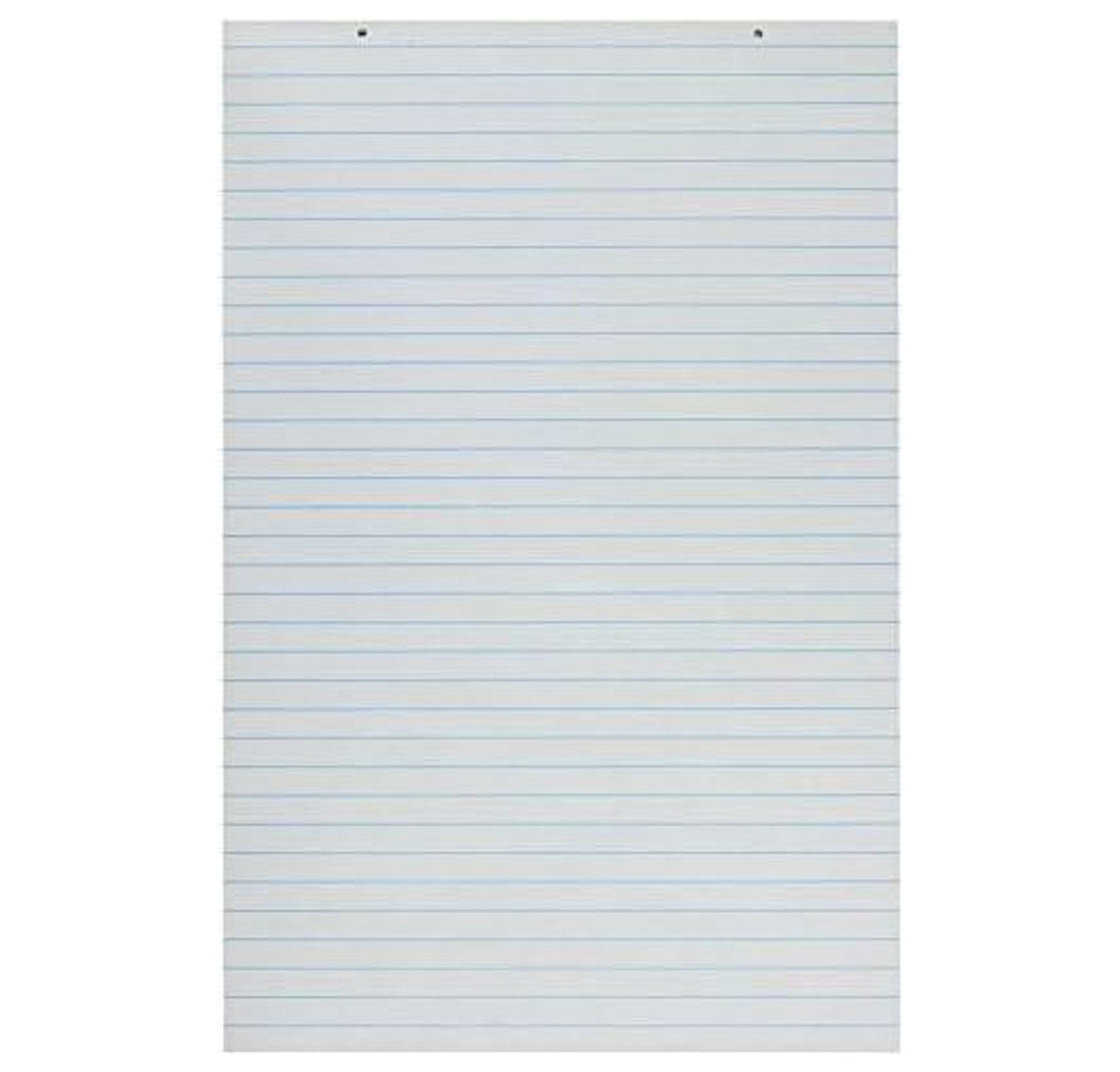 CintBllTer 3052 Primary Chart Pad, 1in Short Rule, 24 x 36, White, 100 ...