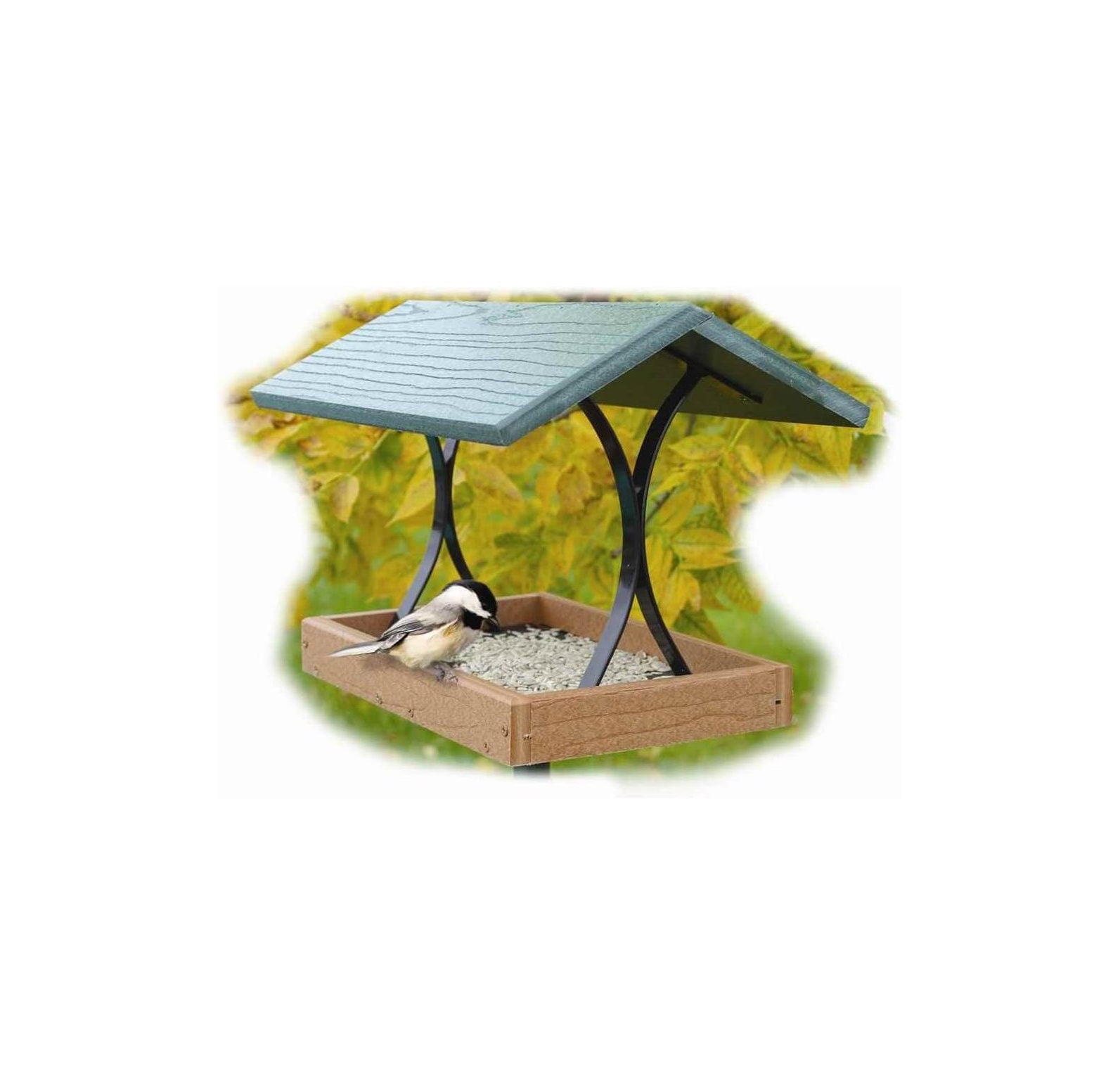 CintBllTer Audubon Fly Thru Feeder - Walmart.com