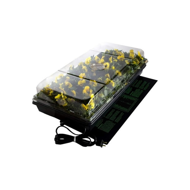 CintBllTer CK64050 Germination Station with Heat Mat, Tray, Cell Insert ...
