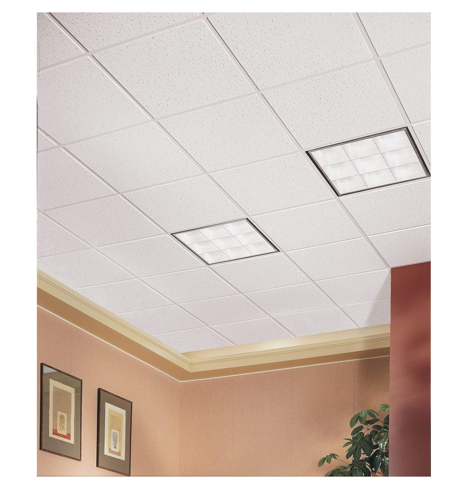 CintBllTer Ceiling Tiles; 2x2 Ceiling Tiles - 16 pcs White Ceiling ...