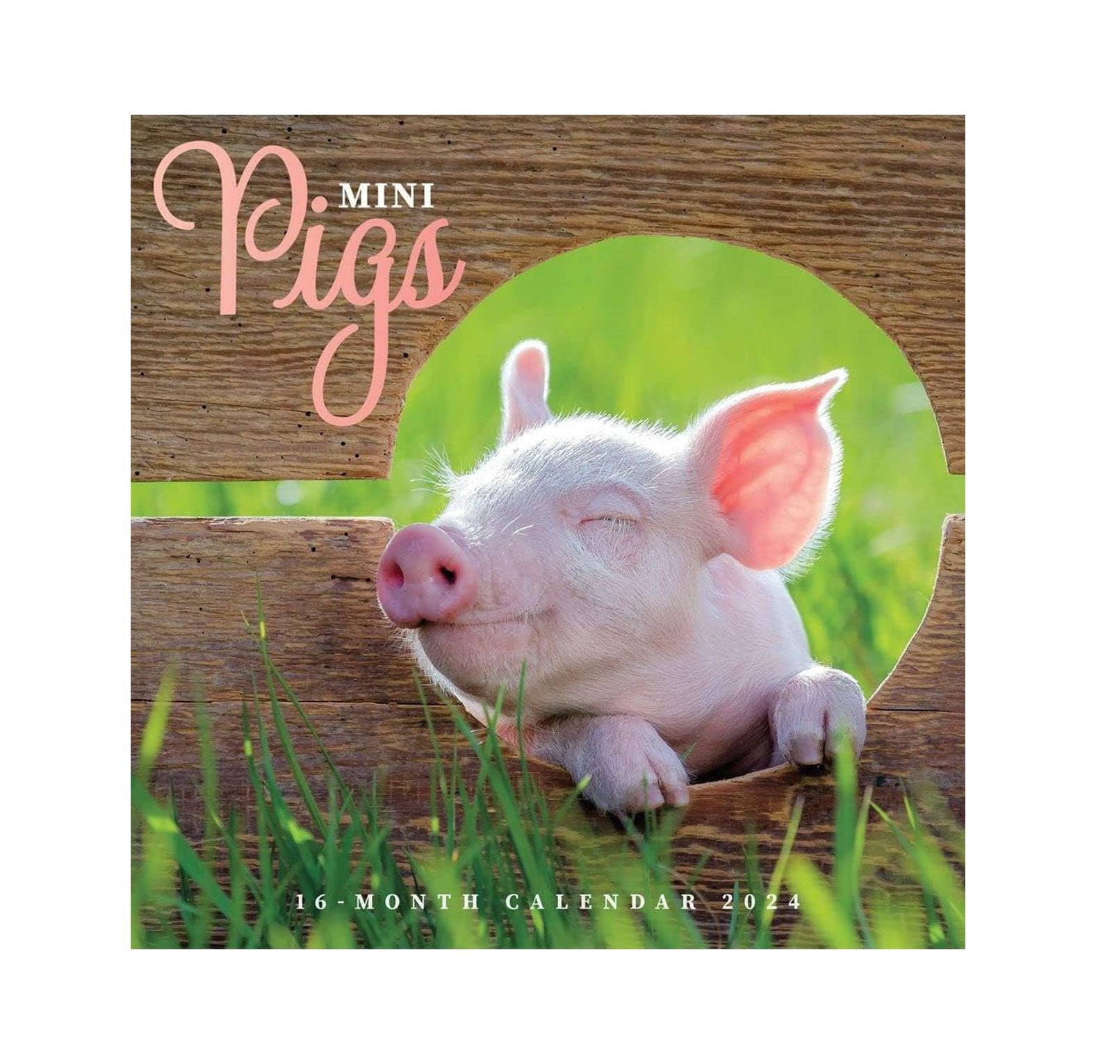The Bay Of Pigs Cuba Political Isolationism 351468398 Bay Of Pigs