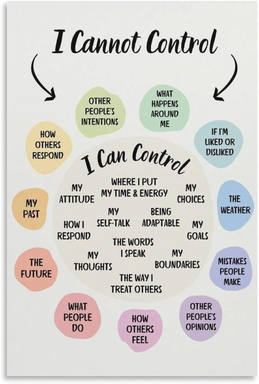 Circle of Control Poster What I Can And Cannot Control Posters(7 ...