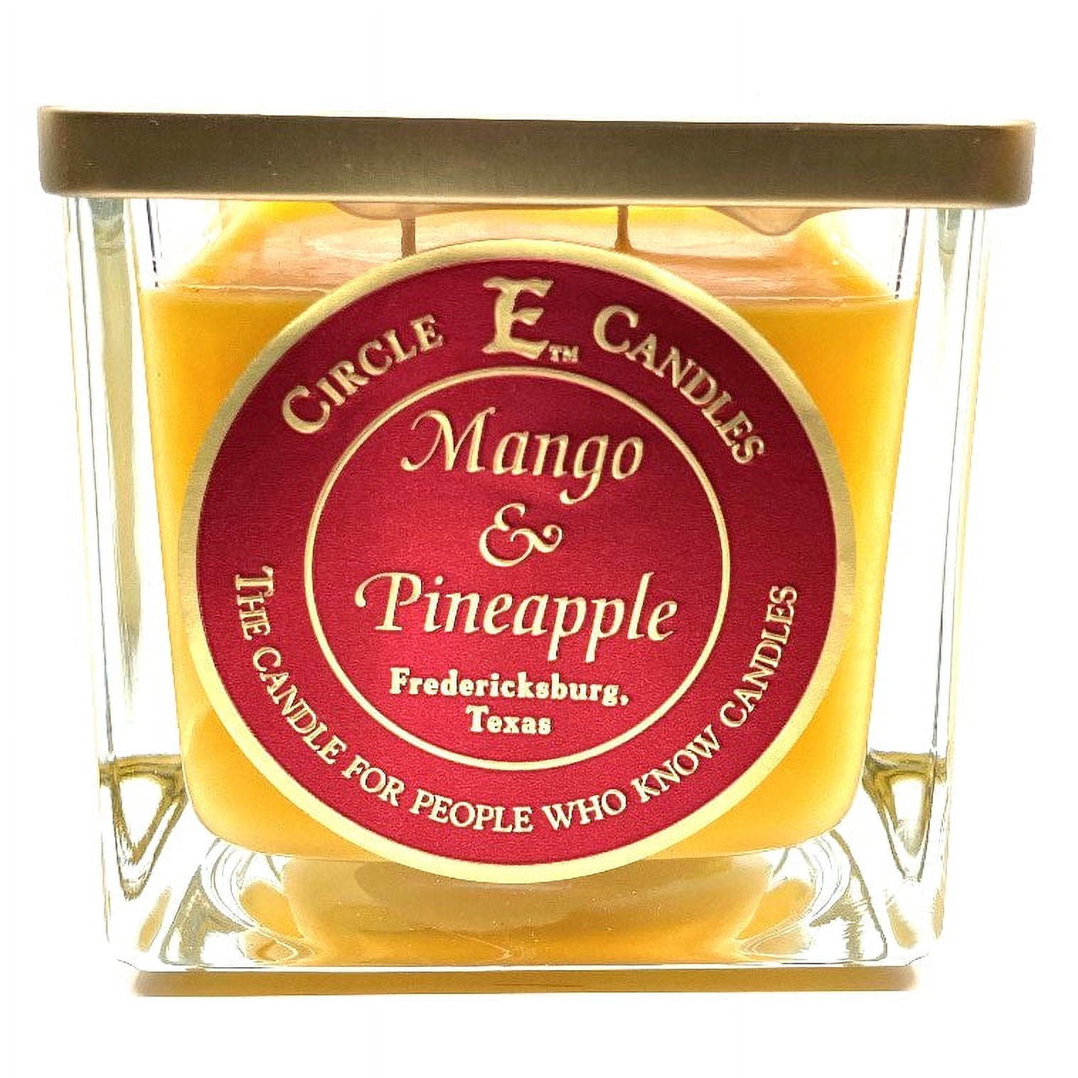 Circle E Candles, Mango & Pineapple Scent, Small Size Jar Candle, 8oz ...