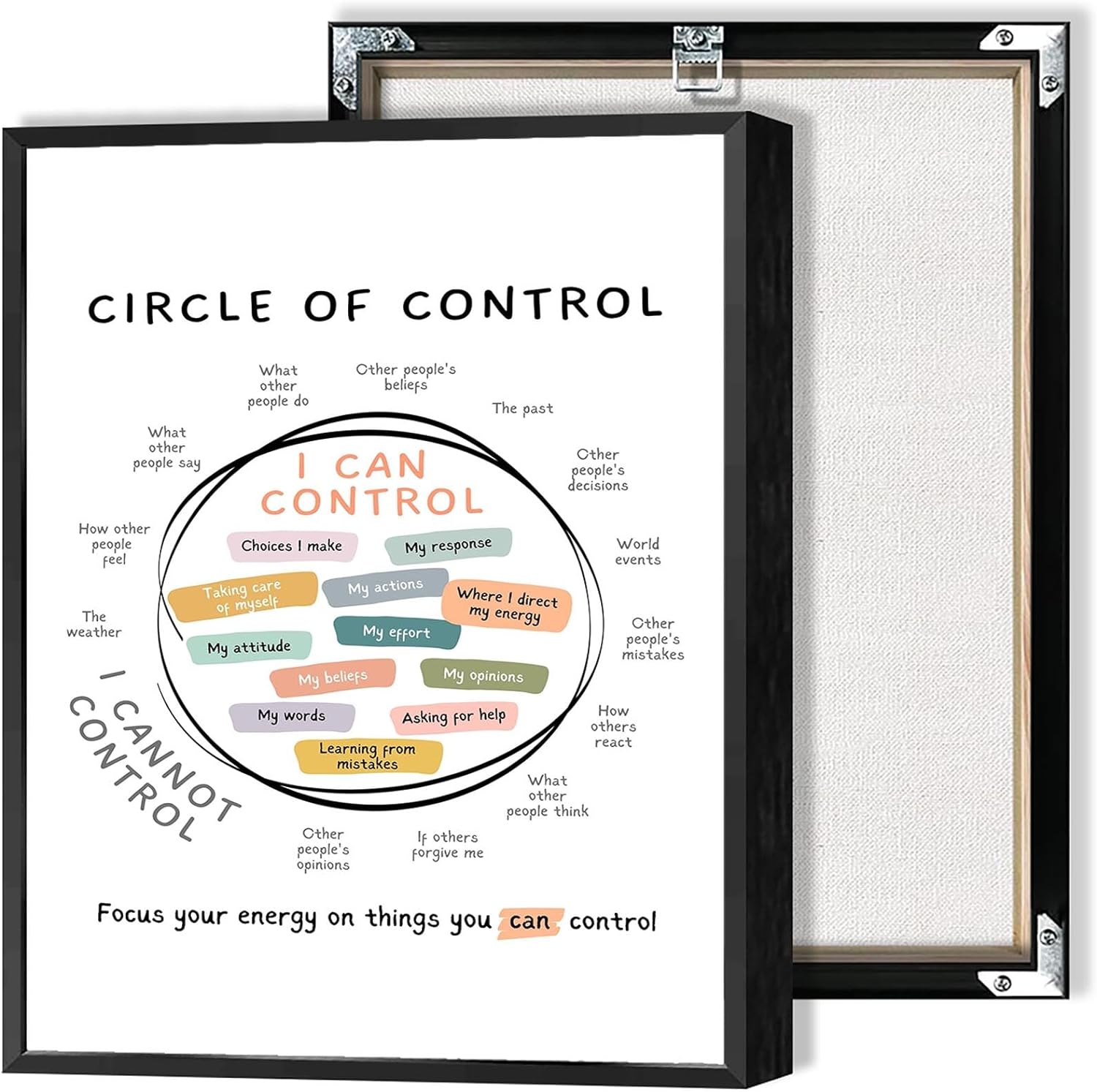 Circle Of Control Poster Mental Health Poster What I Can And Cannot ...