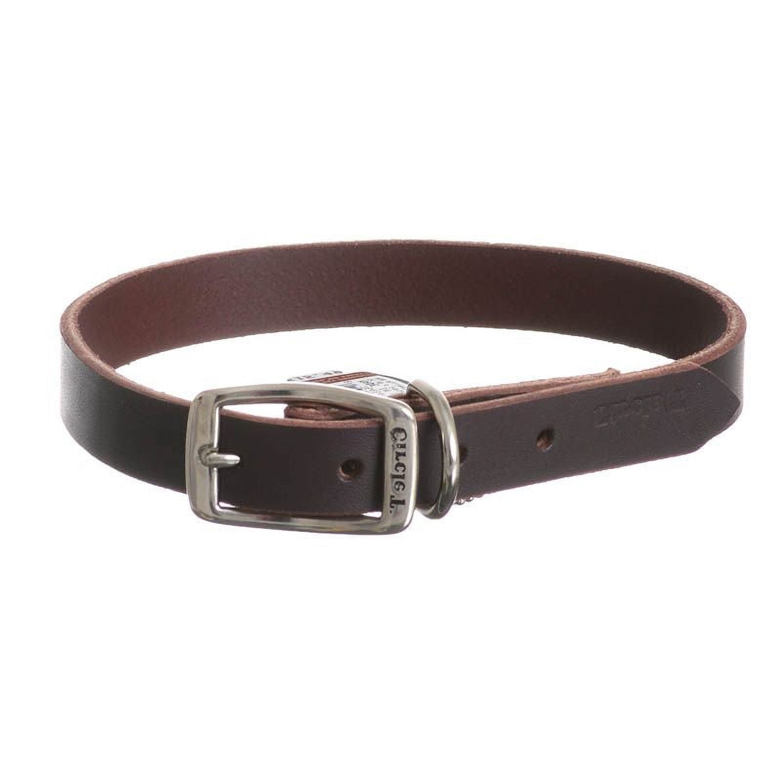 Circle T Latigo Leather Town Dog Collar, 3/4x20-in - Walmart.com