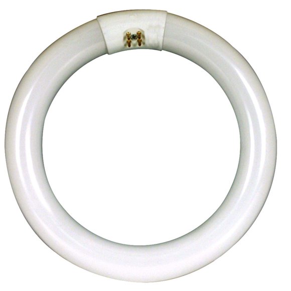Circular Fluorescent Light Bulbs