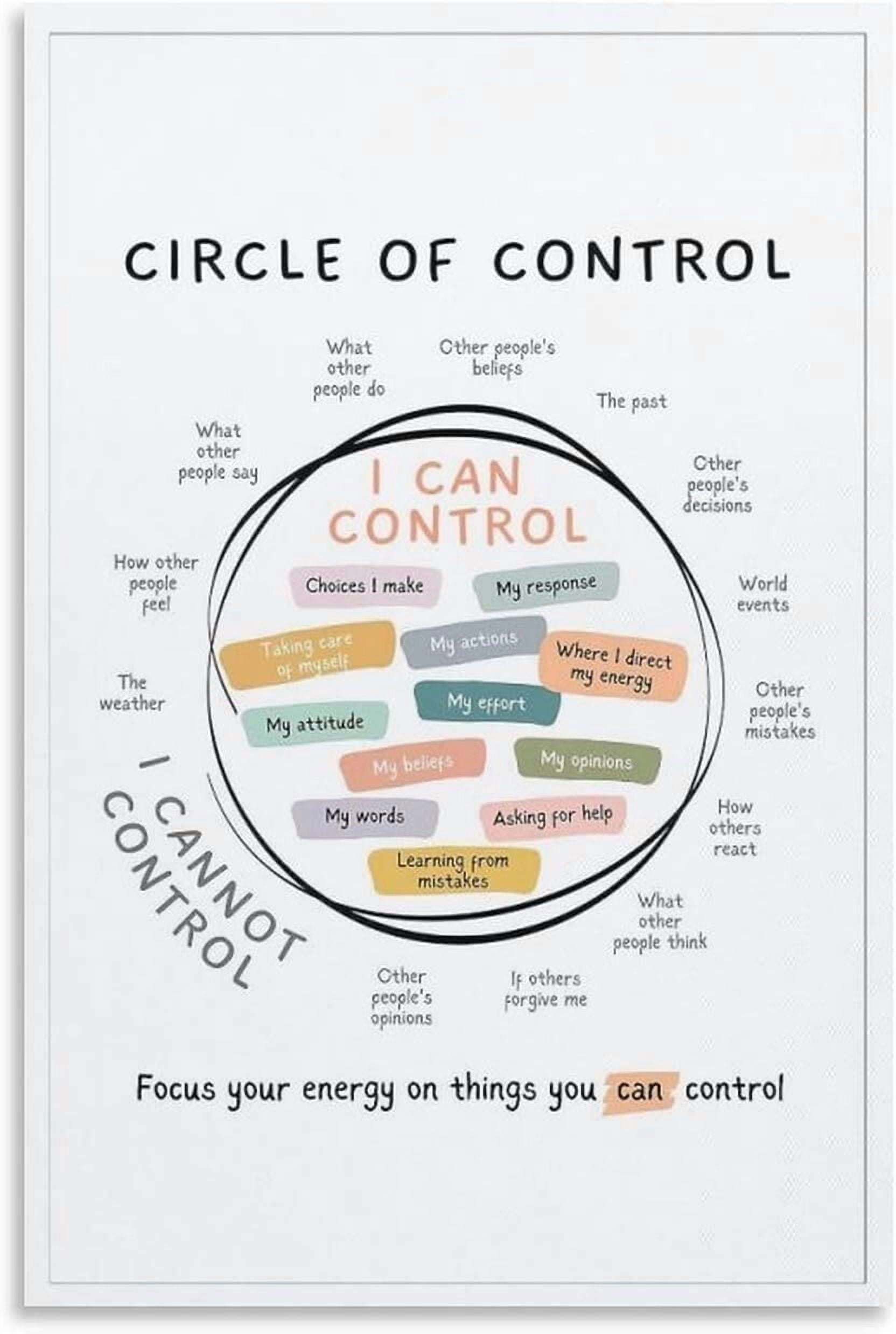 Circle of Control Poster, Mental Health Themed, What I Can And I Cannot ...