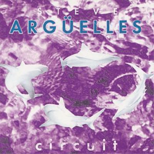 Cds Vinyl Circuit Riders