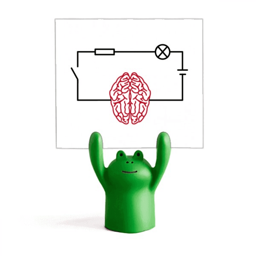 Circuit Brain Power Physics Memo Holder Cartoon Animal Frog Stand ...