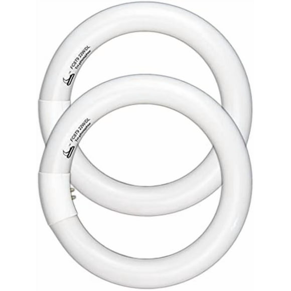 Circular Light Bulbs