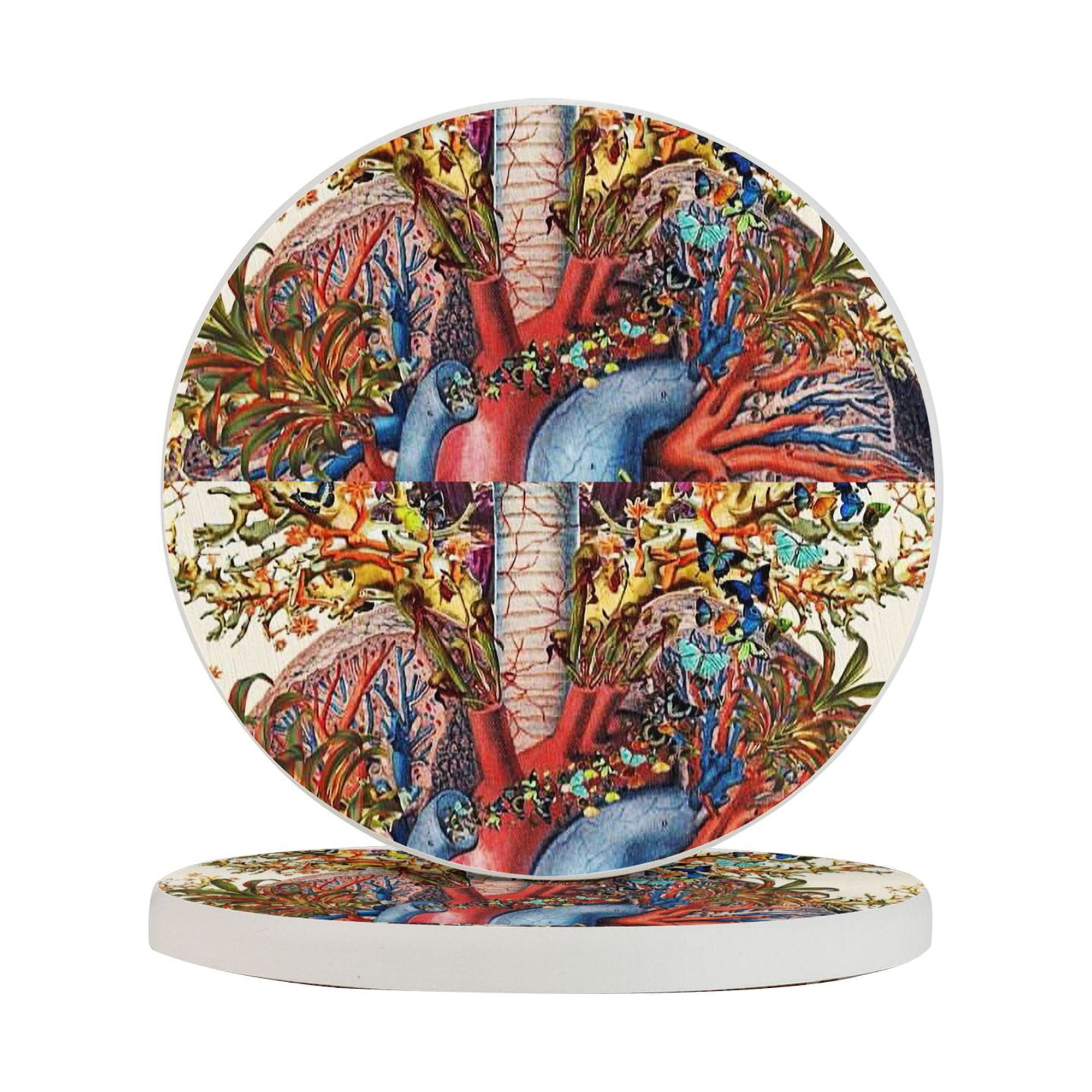 Circular Drink Coasters Set Anatomical Collages Beautiful Home Decor ...