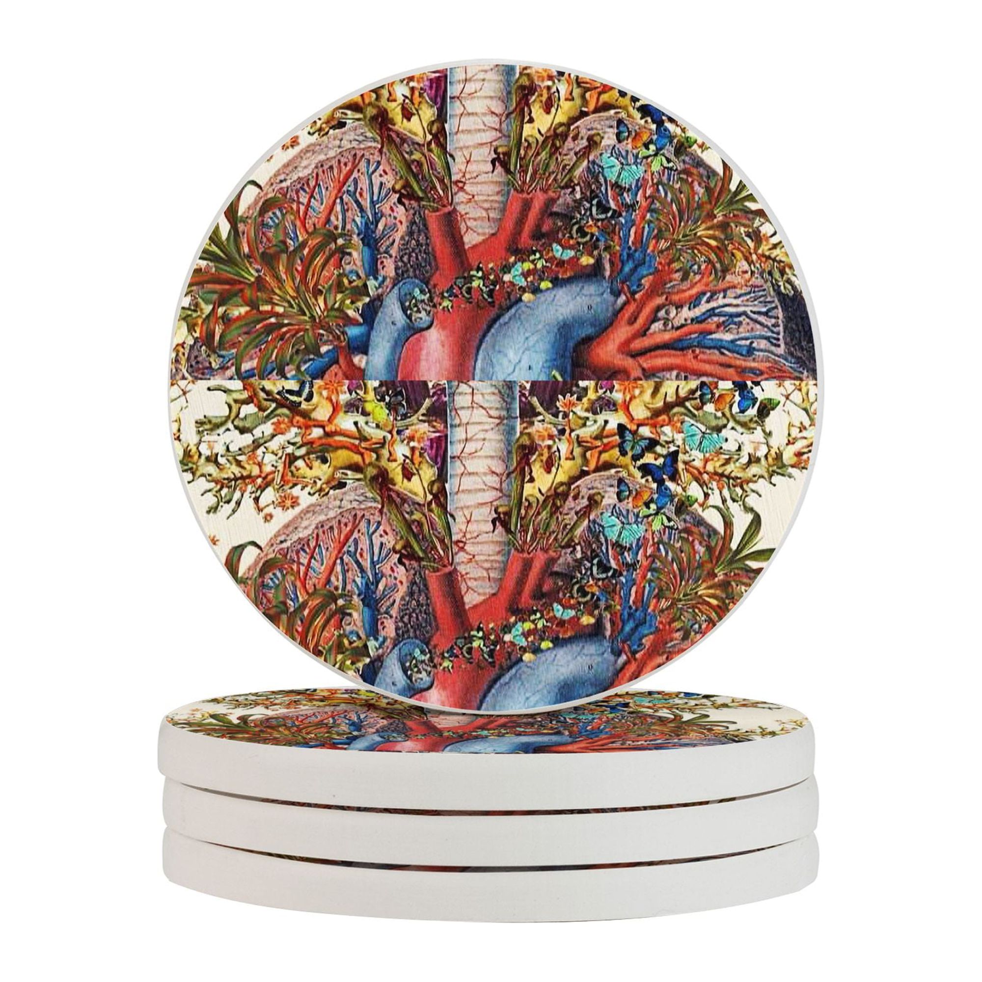 Circular Drink Coasters Set Anatomical Collages Beautiful Home Decor ...