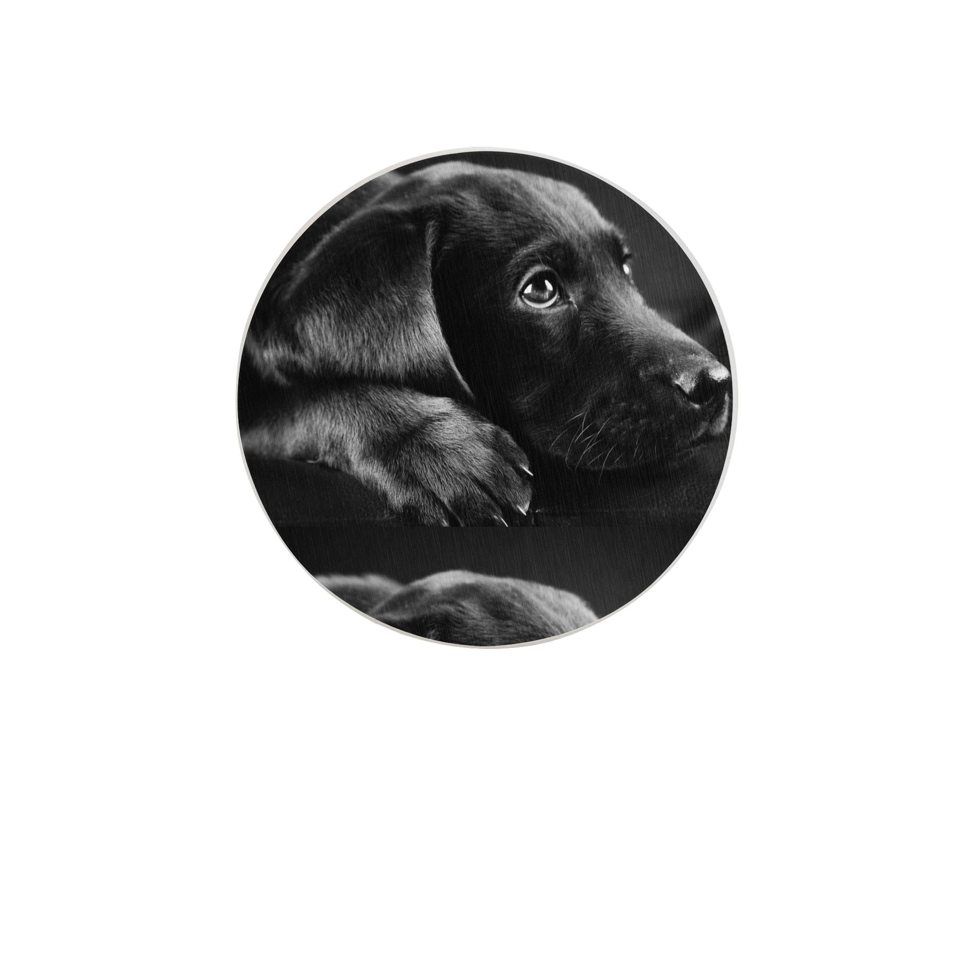 Circular Drink Coasters Set Black Labrador Dog Beautiful Home Decor ...