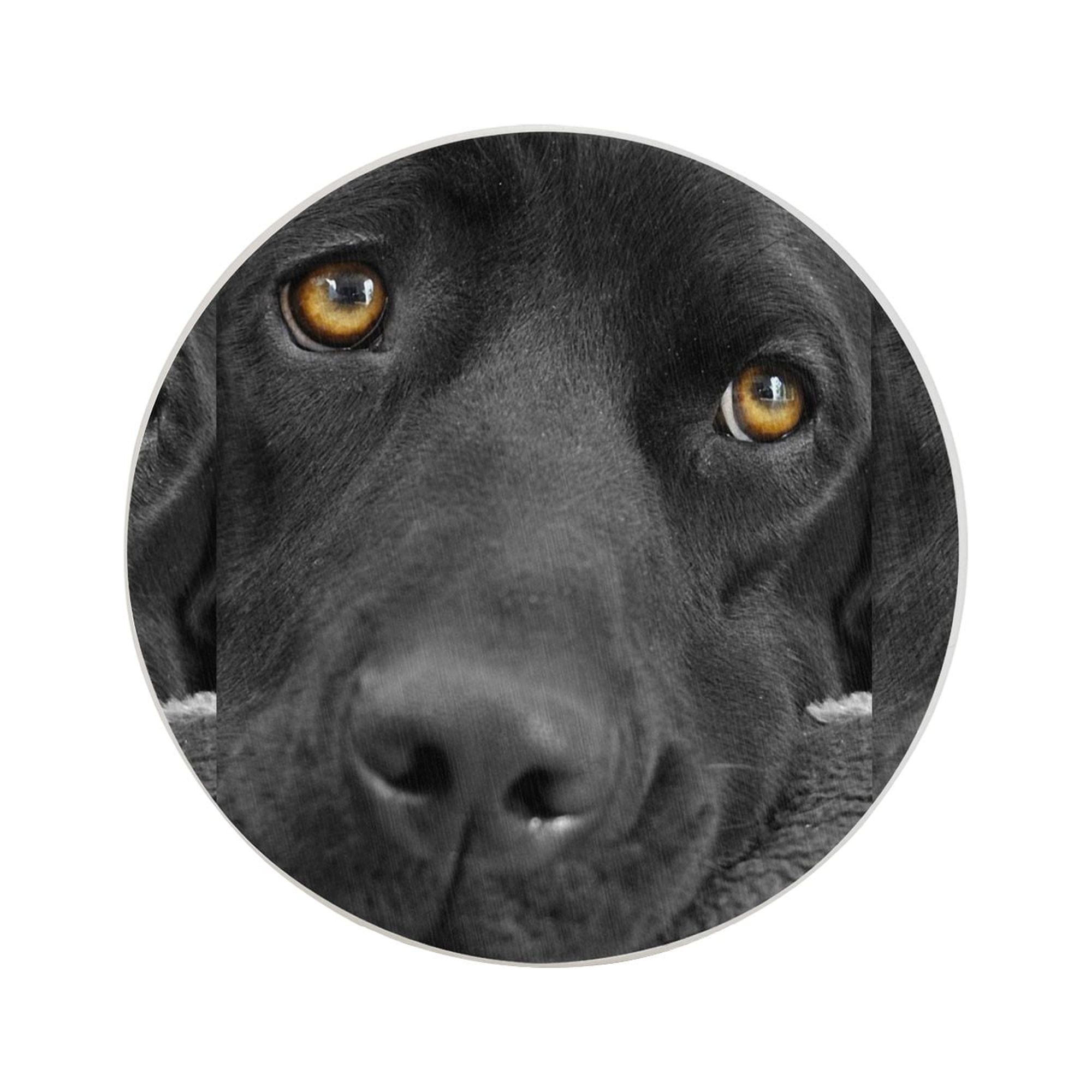 Circular Drink Coasters Set Black Labrador Puppy Beautiful Home Decor ...