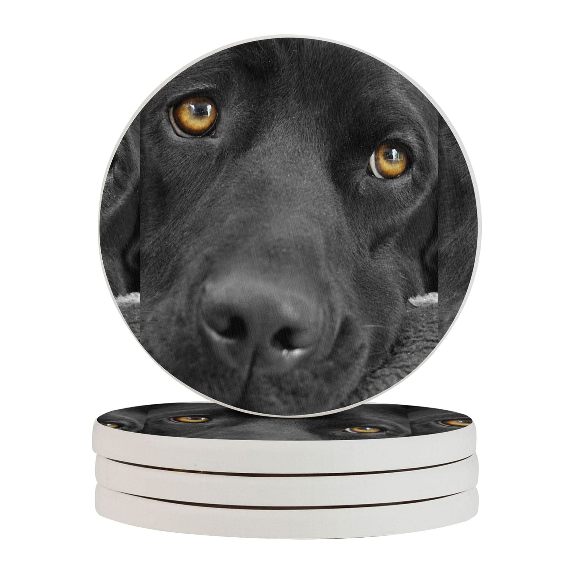 Circular Drink Coasters Set Black Labrador Puppy Beautiful Home Decor ...
