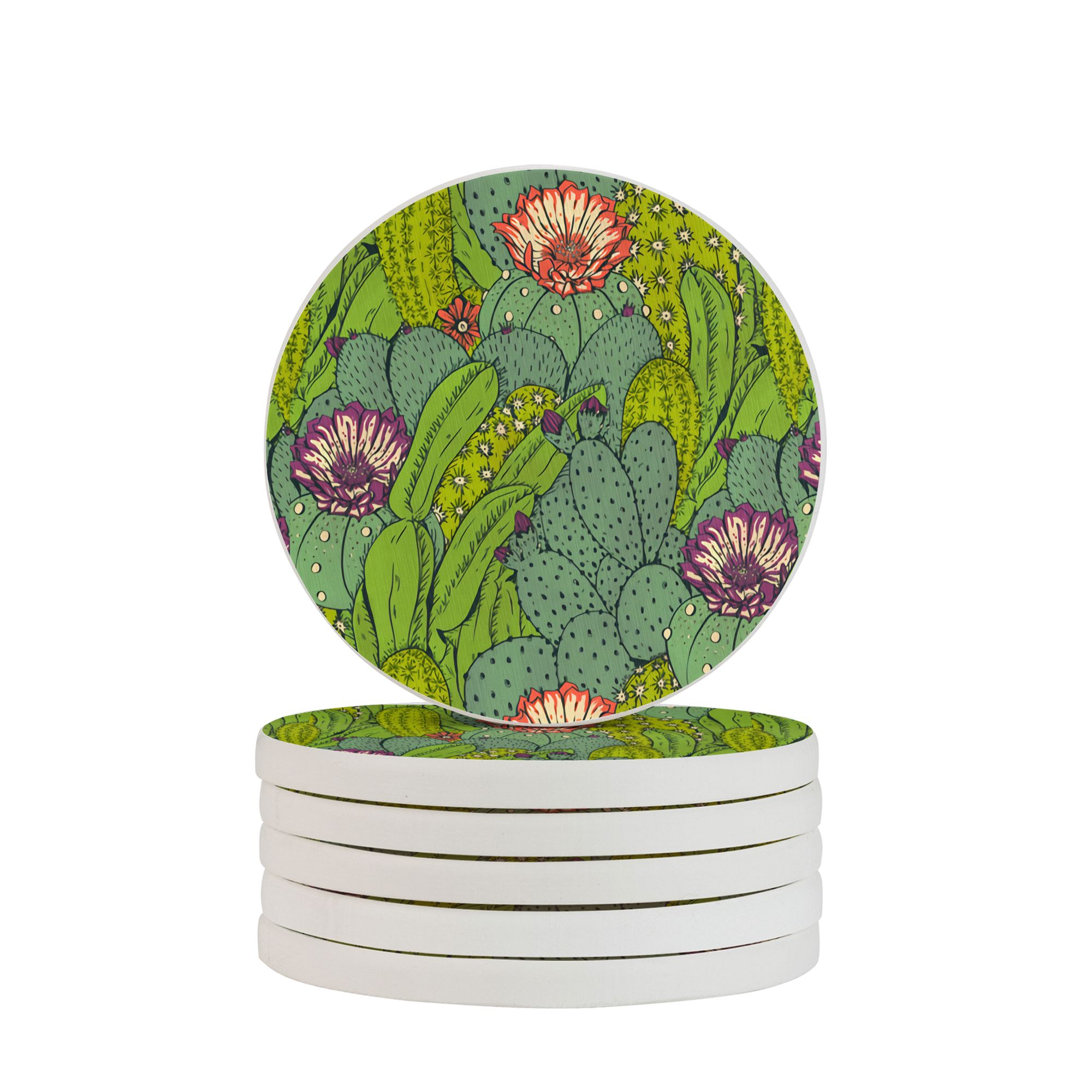 Circular Drink Coasters Set Cactus Mammillaria Peyote Opuntia Beautiful ...