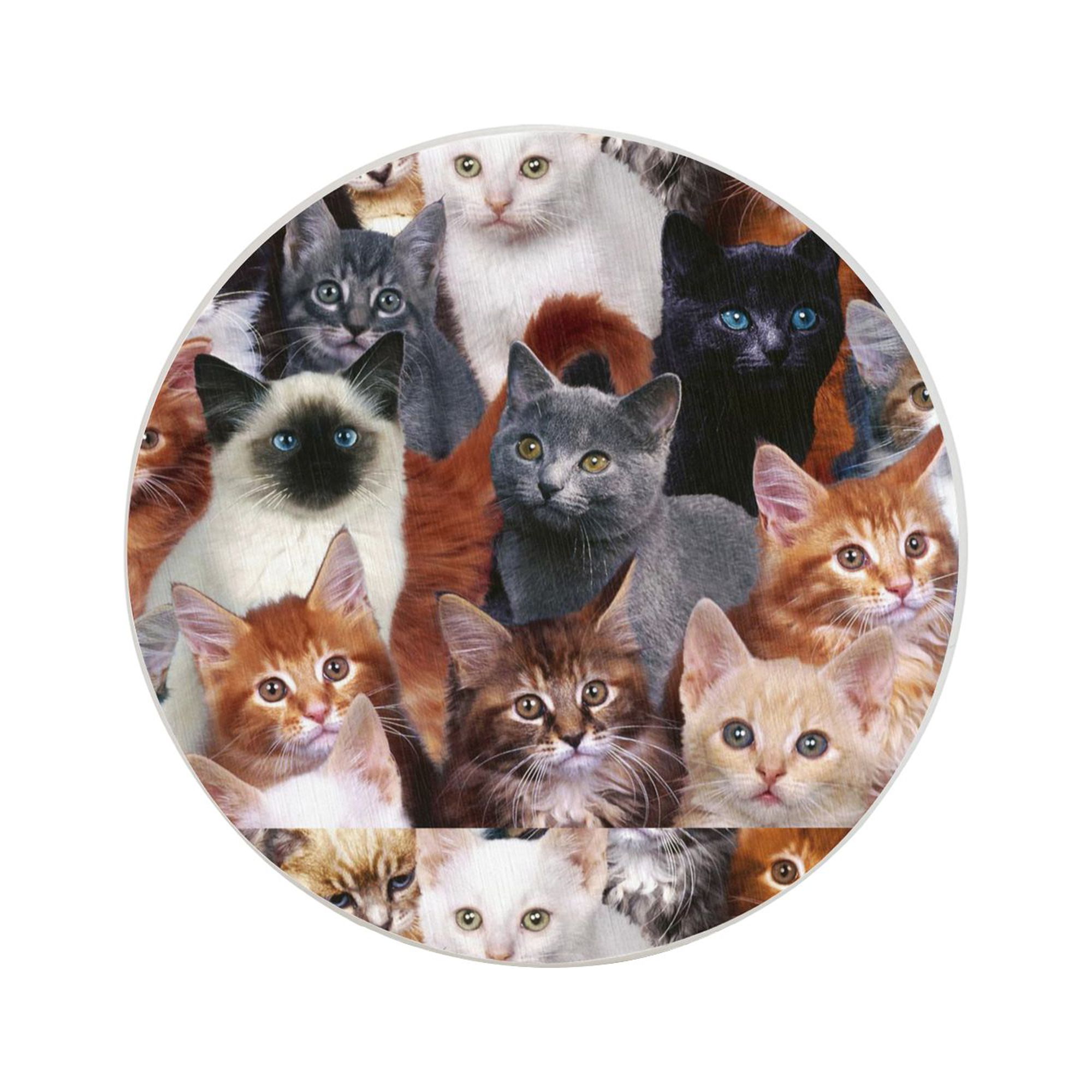 Circular Drink Coasters Set Cats Beautiful Home Decor Diatomite Heat ...