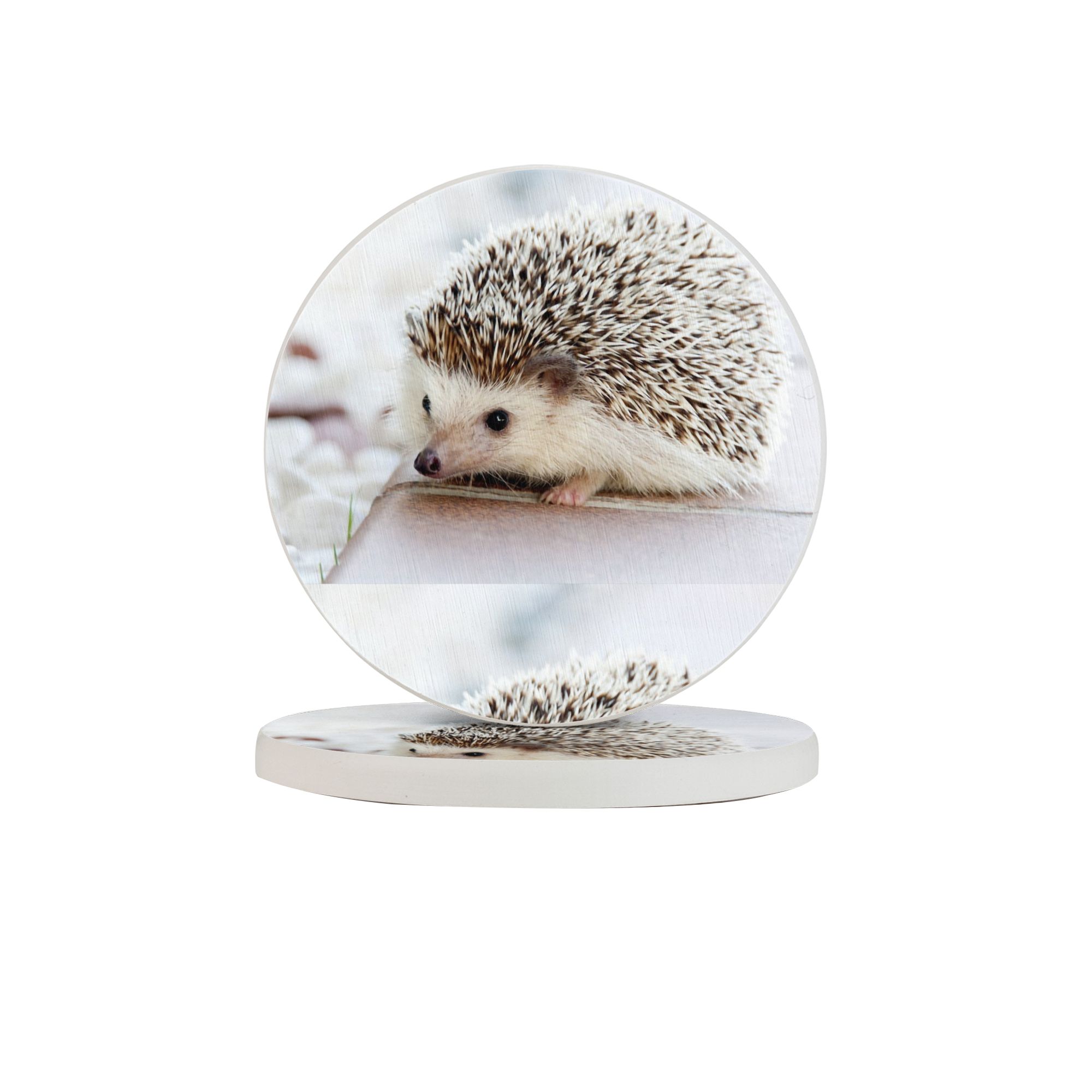 Circular Drink Coasters Set Cute Baby Hedgehog Beautiful Home Decor ...