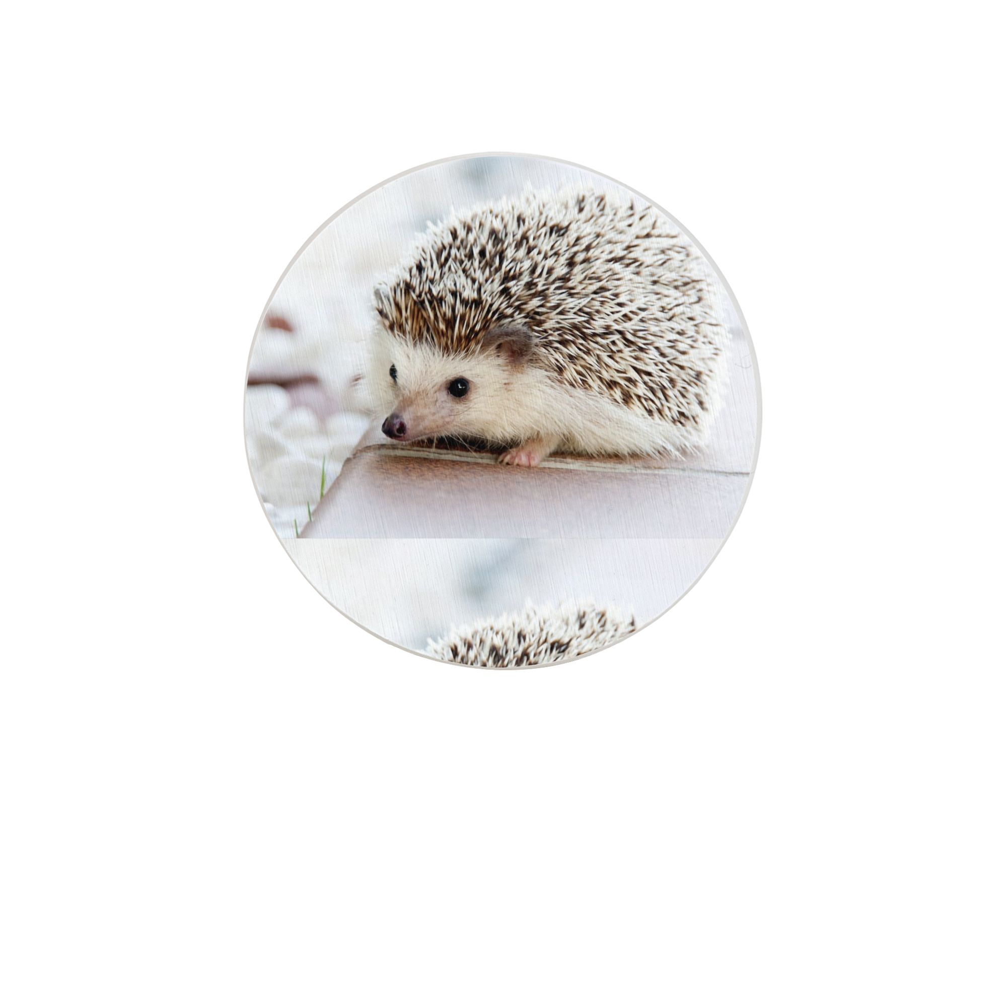 Circular Drink Coasters Set Cute Baby Hedgehog Beautiful Home Decor ...