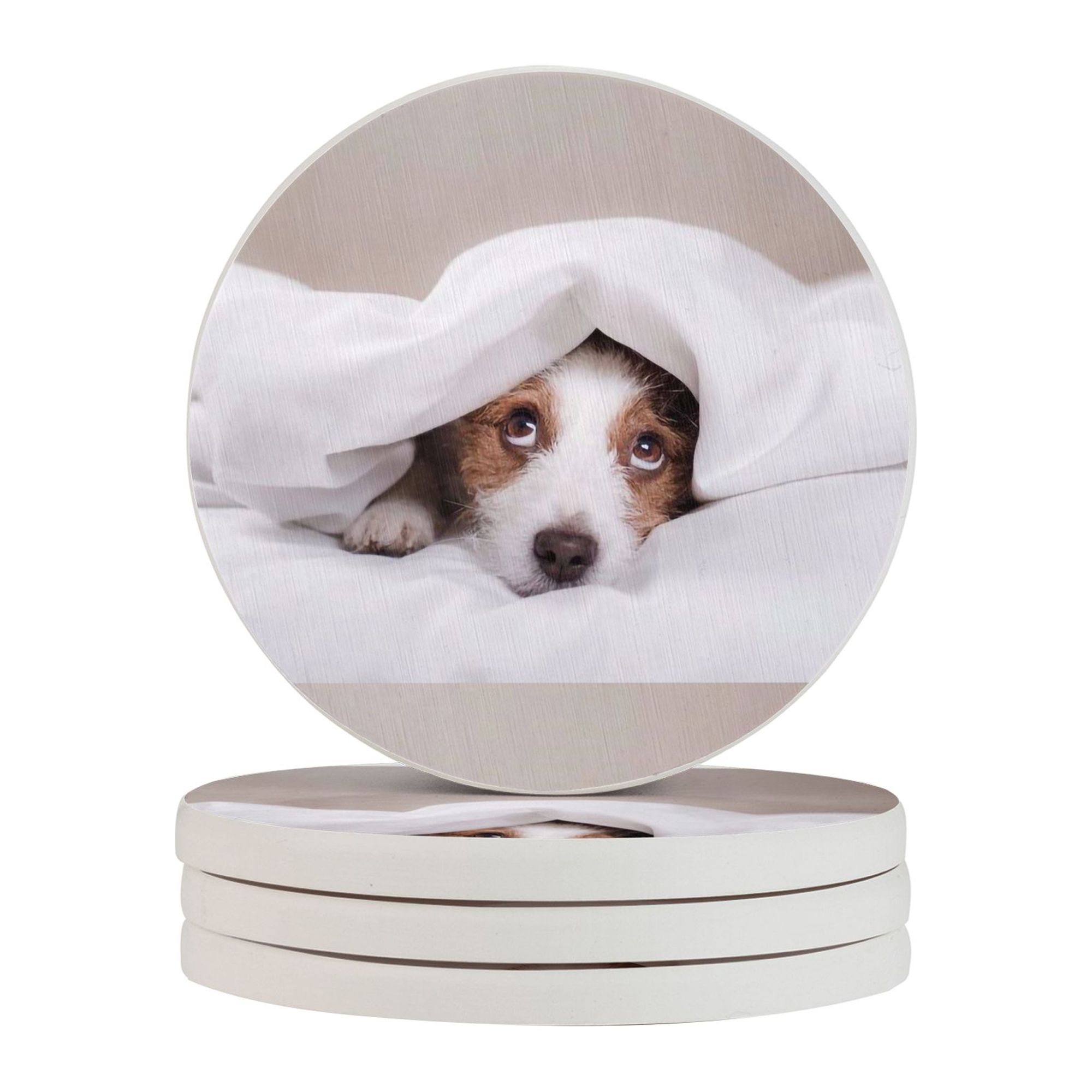 Circular Drink Coasters Set Dog Lying Bed-Funny Dog Lying Bed Beautiful ...