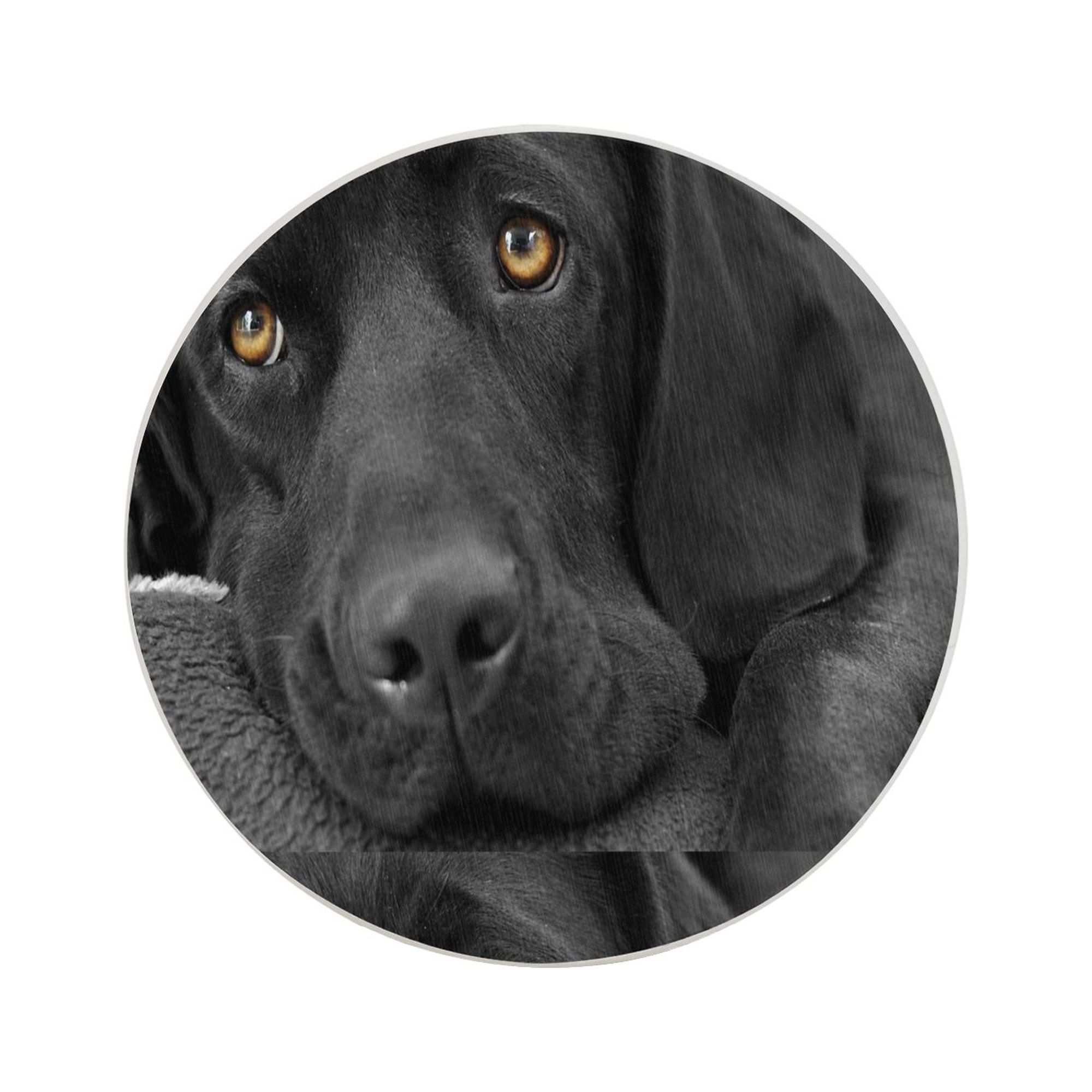 Circular Drink Coasters Set Doggaming Black Lab Labrador Dog Puppy ...