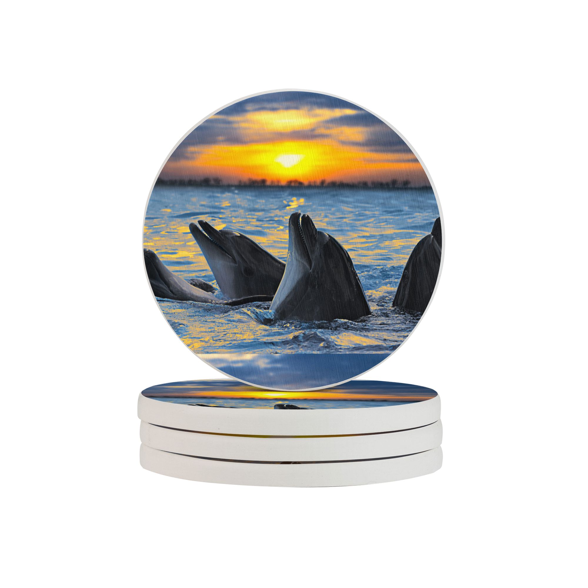Circular Drink Coasters Set Dolphins In The Sunset Ocean Marine Animals ...