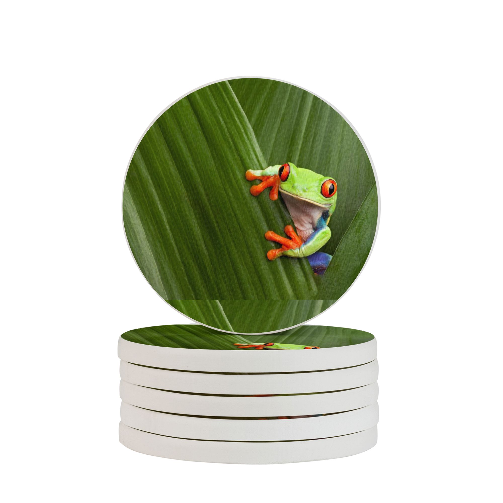 Circular Drink Coasters Set Red-Eyed Tree Frog Beautiful Home Decor ...