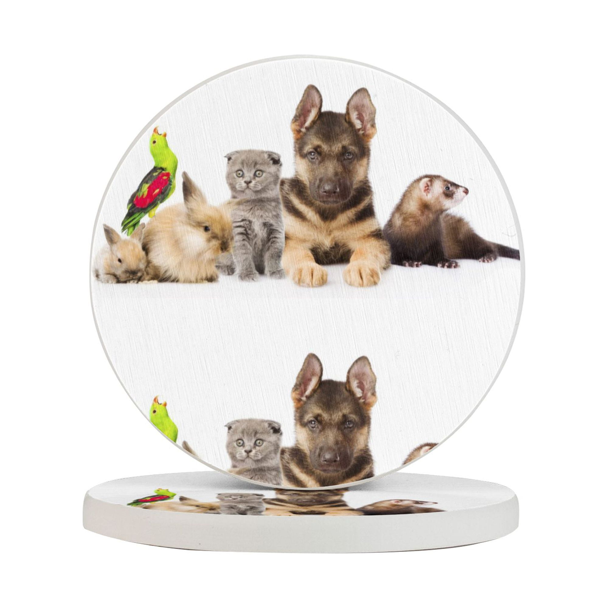 Circular Drink Coasters Set Sweet Photo With Bunny Cat Dog And Ferret ...