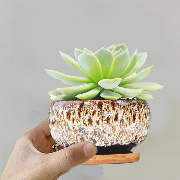 Flower Pots Circular Glazed Ceramic Pottery Planter Set Unique Color ...