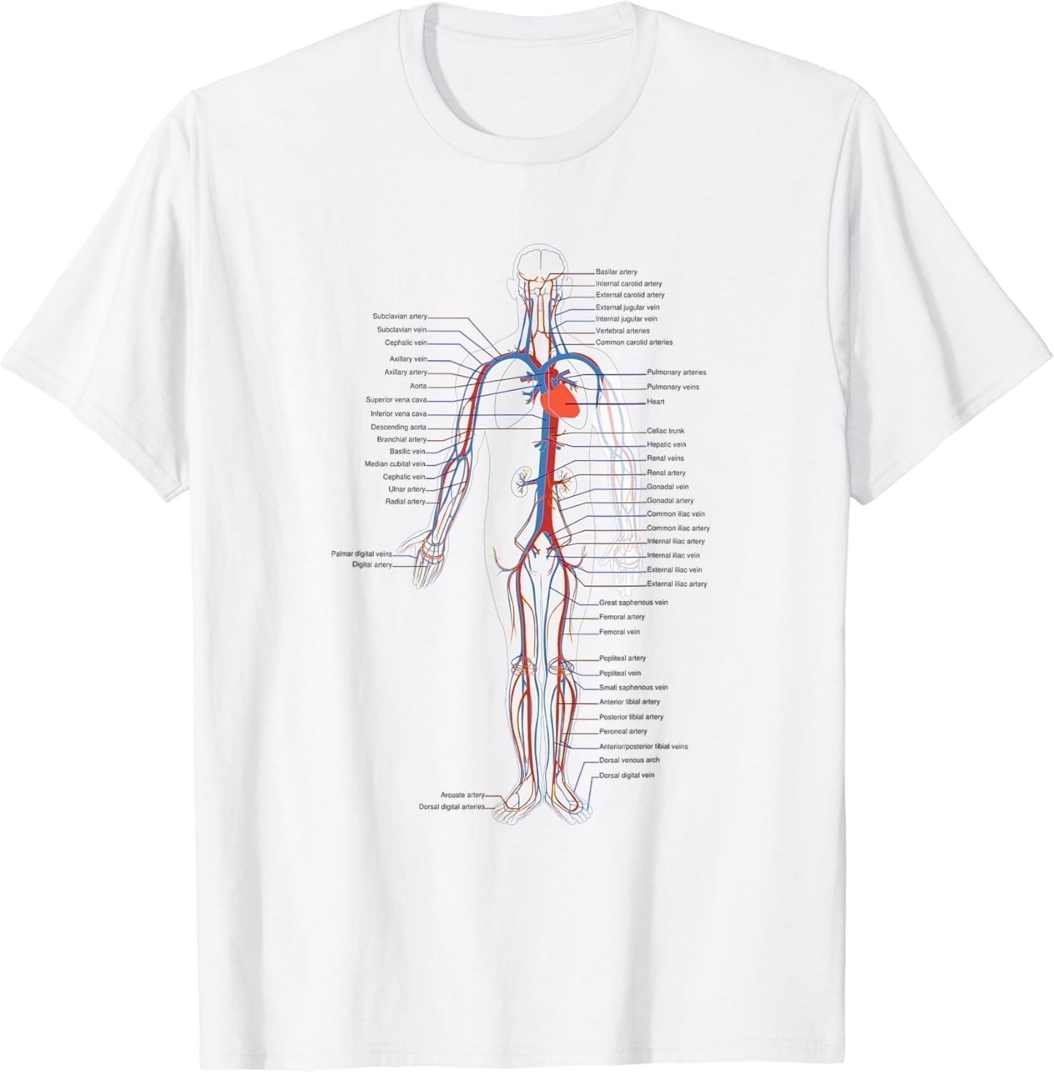Circulatory System Anatomy Chart Arteries Veins T-Shirt - Walmart.com