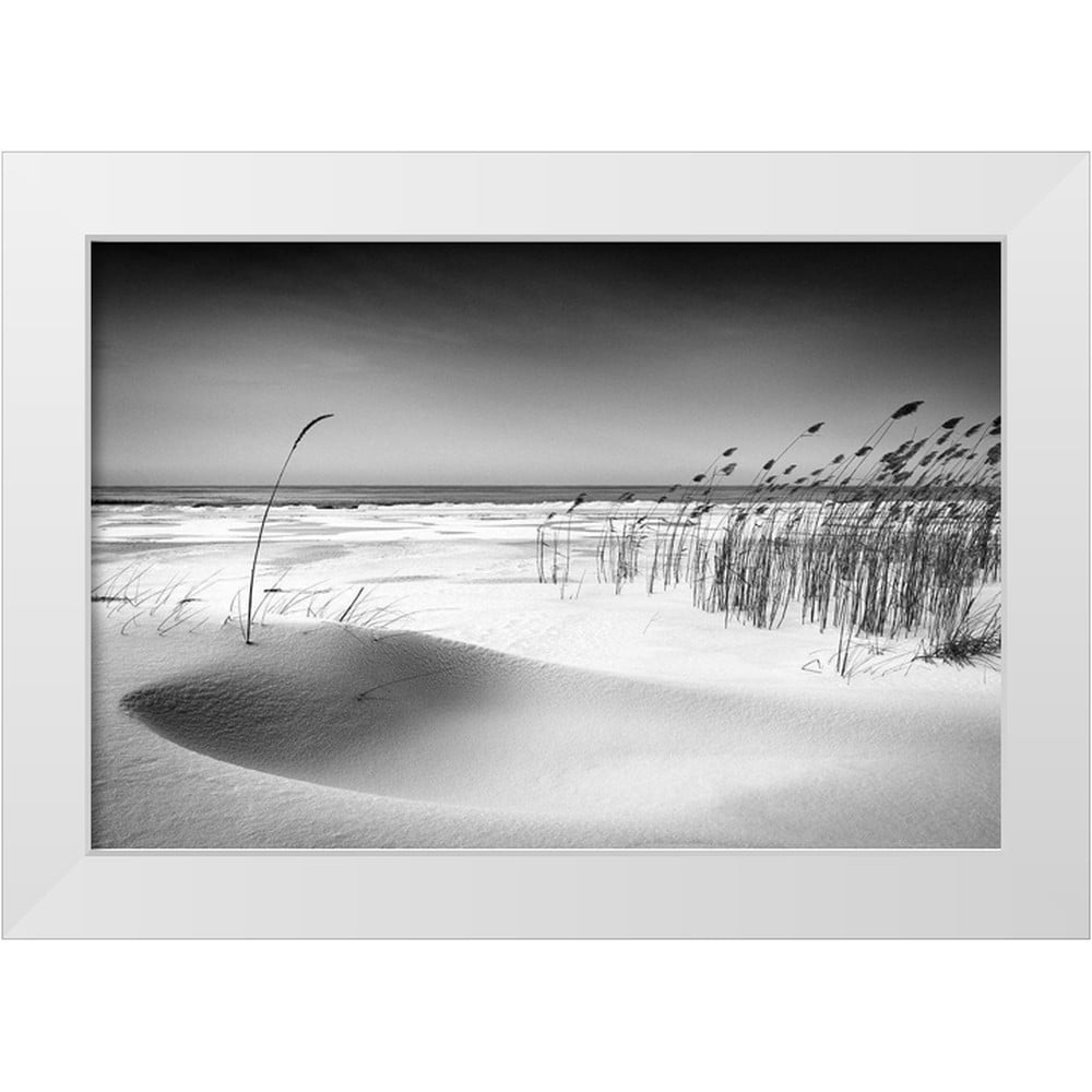 Cirulis, Reinis 18x13 White Modern Wood Framed Museum Art Print Titled ...