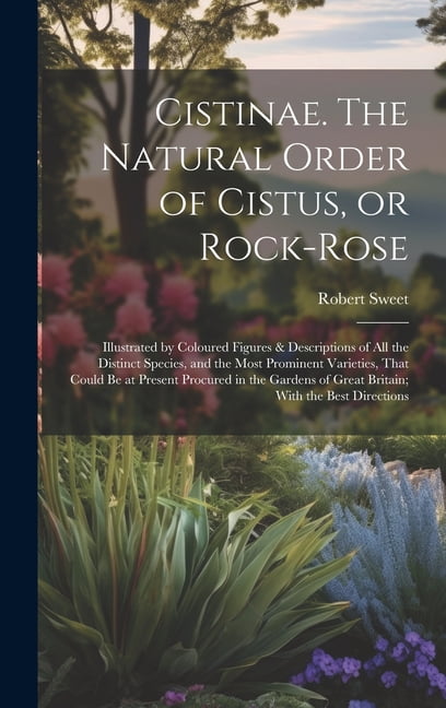 Cistinae. The Natural Order of Cistus, or Rock-rose; Illustrated by ...