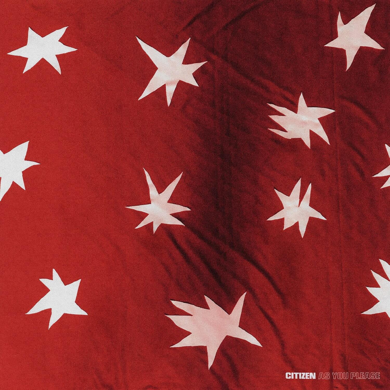 Citizen - As You Please - Music & Performance - Vinyl - Walmart.com
