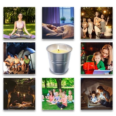 Coleman Scented Outdoor Citronella Candle in Tin Mug, Pine Scented ...