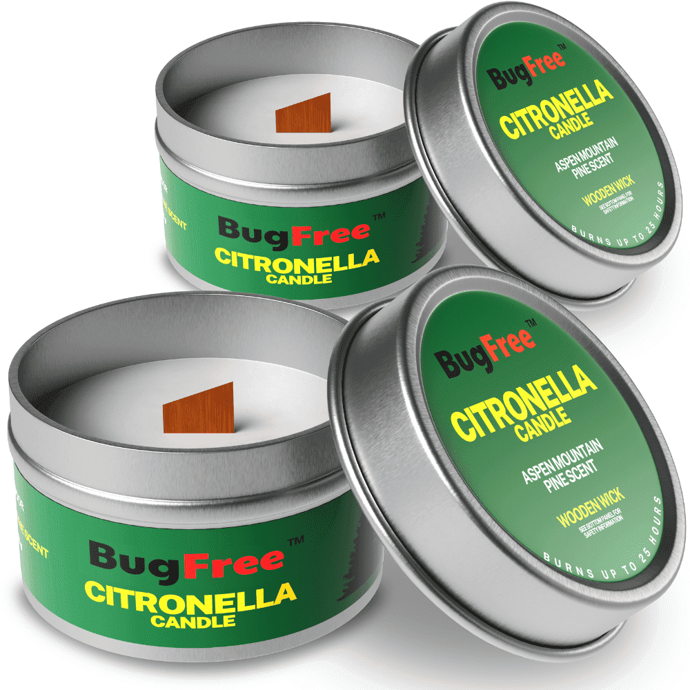 BugFree Citronella Candles, Outdoor and Indoor, Pine Scented, Wooden Wick, 6oz, 25+ Hours Burn ...