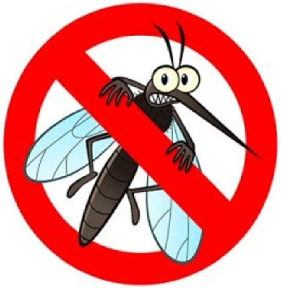 Citronella Fragrance Oil 16 oz Bottle Premium Grade for Candle and Soap ...