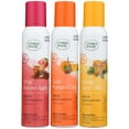 Citrus Magic Limited Edition Odor Eliminating Air Freshener Spray ...