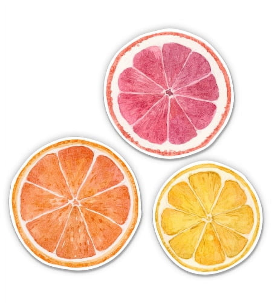 Citrus Slices Fruit Fresh - 3" each Vinyl Stickers - For Car Laptop I ...