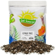 Potting Soil Citrus Trees