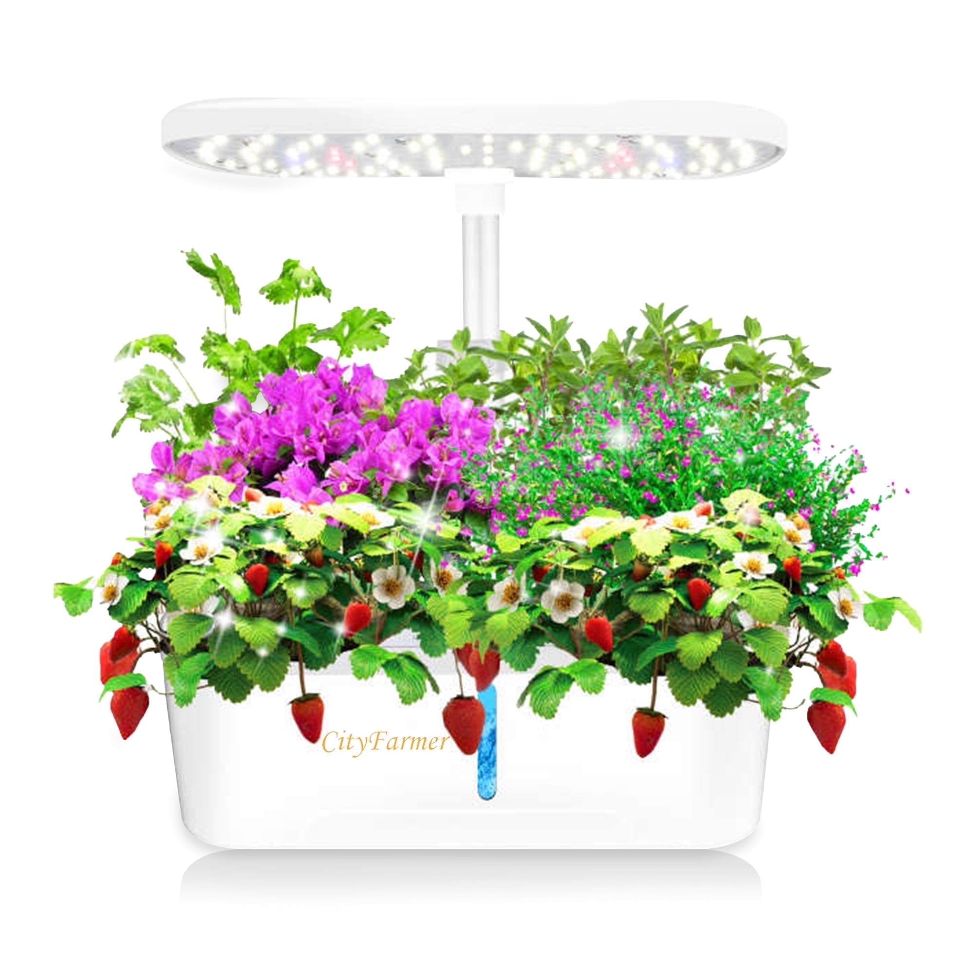 Cityfarmer Indoor Hydroponics Growing System: Indoor Fresh Vegetable ...
