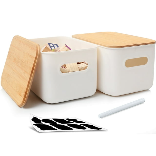 Citylife Small Organizer Box, 2 Packs Rectangular Stackable Storage ...