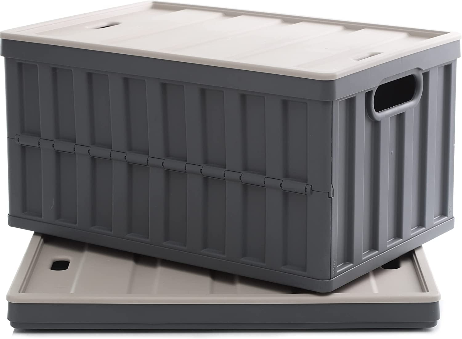 Citylife 64L Collapsible Storage Bins with Lids Plastic Storage ...