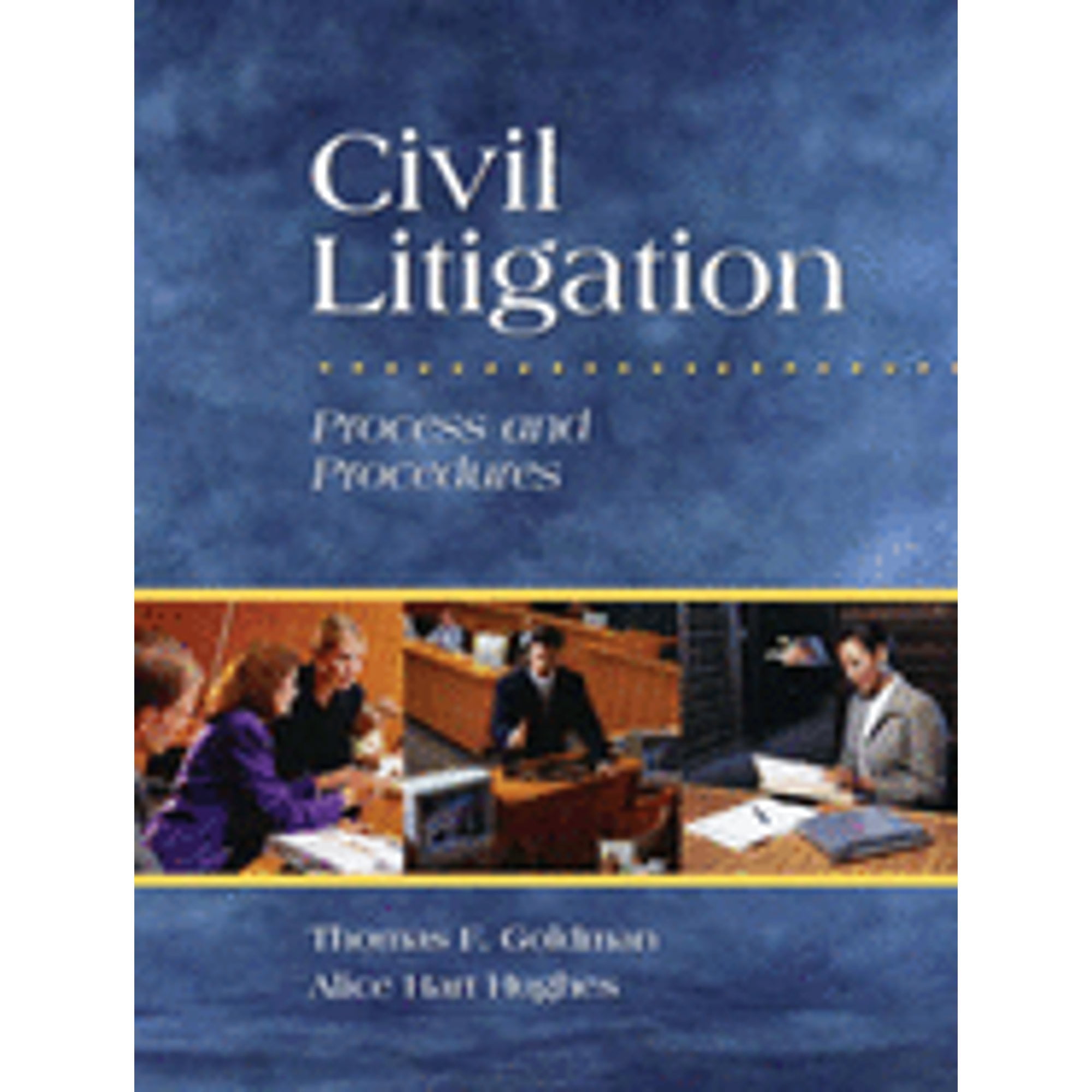 Civil Litigation: Process and Procedures (Hardcover) by Thomas F ...