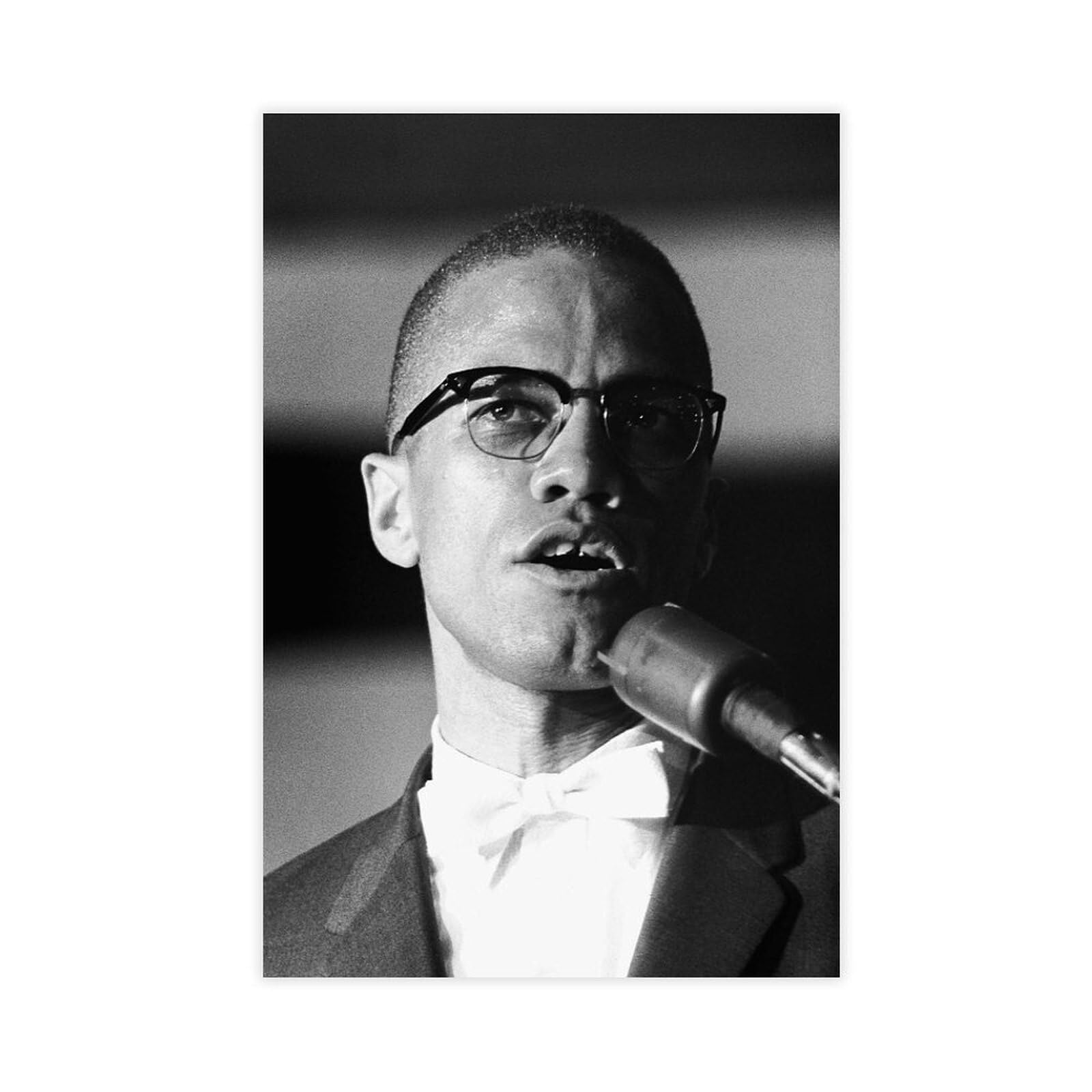 Civil Rights Activist Malcolm X, Retro Art Posters for House Aesthetic ...