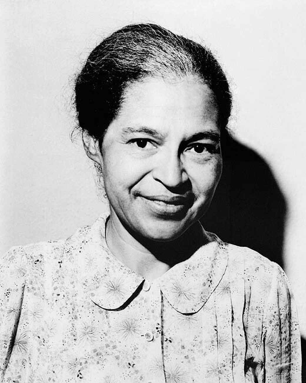 Civil Rights Leader Rosa Parks 1964 - 24x36 Inch Laminated Aviation ...