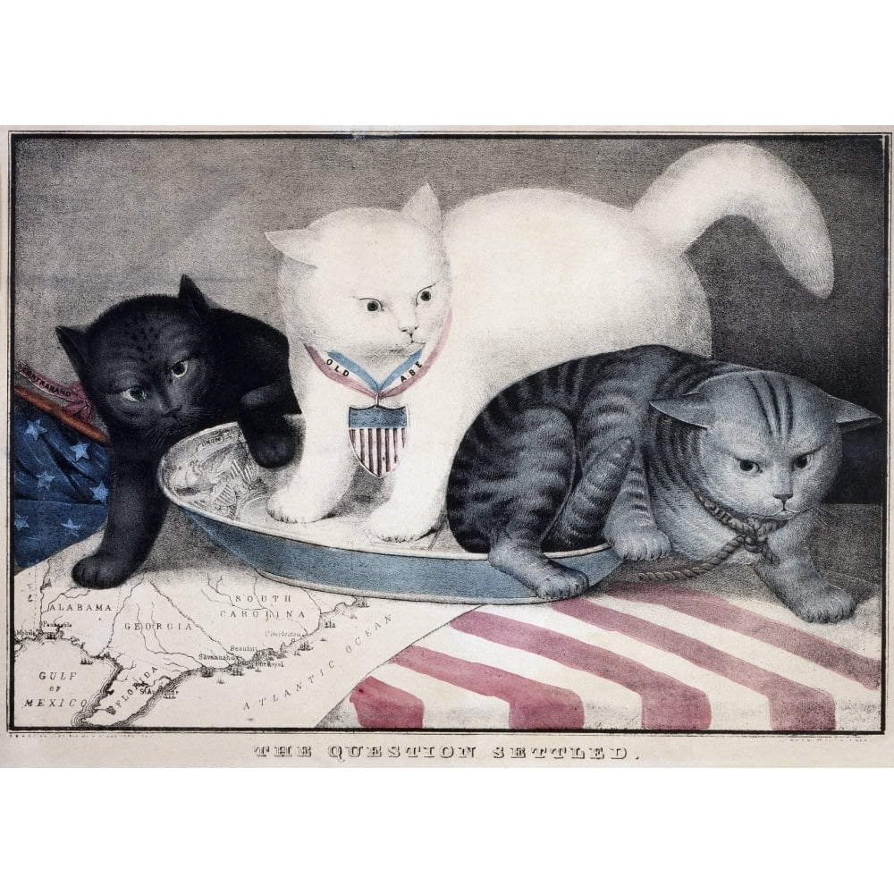 Civil War Cartoon C1865. N'The Question Settled.' White Cat Labeled ...