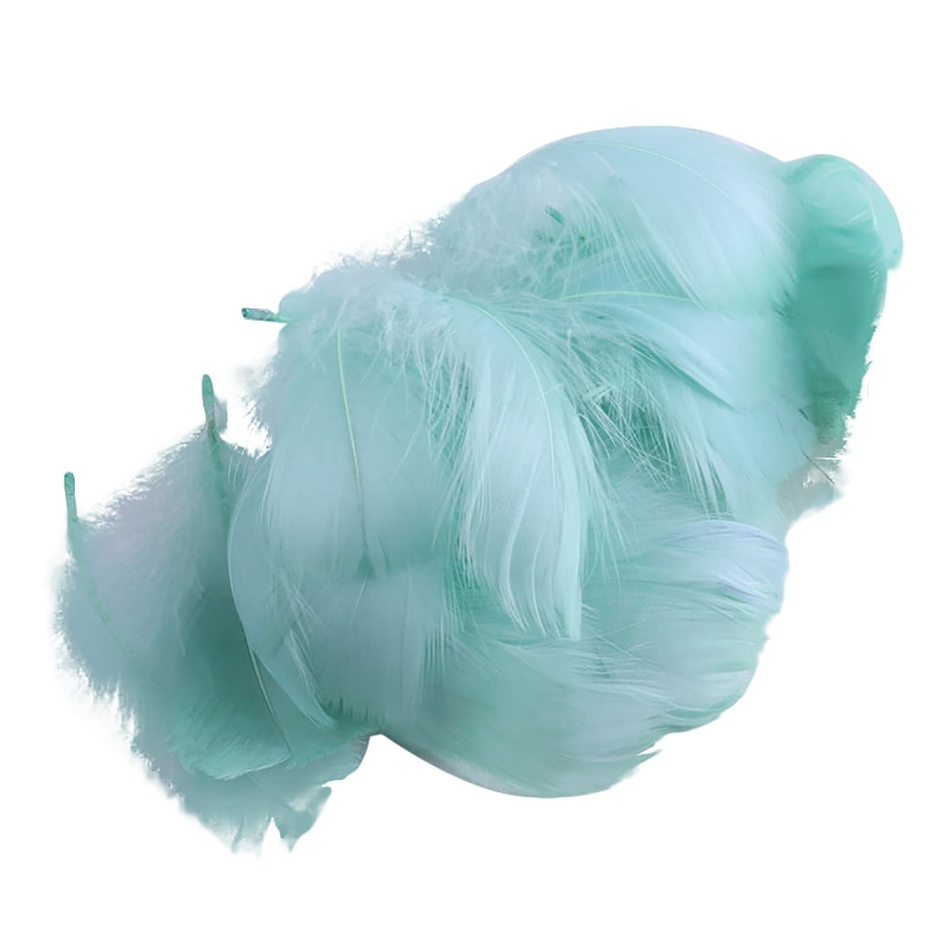 Ciwanning 100pcs Natural Goose-Feathers for Wedding Party Table ...